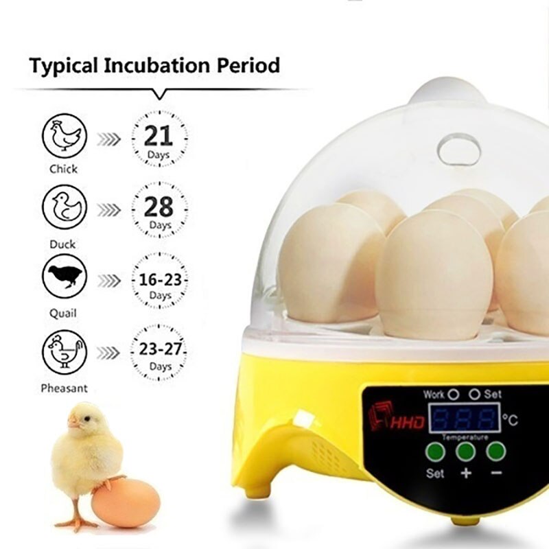 Mini Digital 7 Eggs Incubator Automatic Temperatur... – Grandado