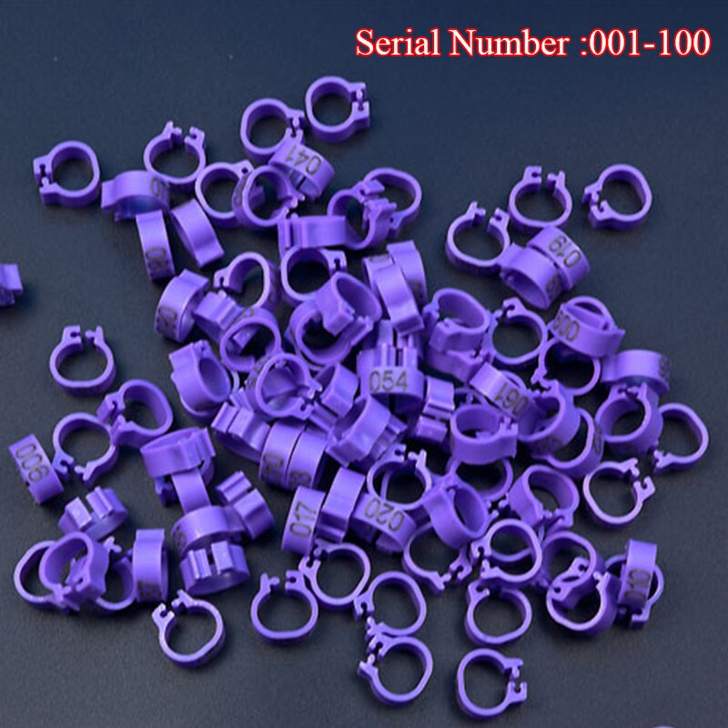 Inner Diameter 8mm Pigeon Leg Bands Poultry Dove B... – Grandado
