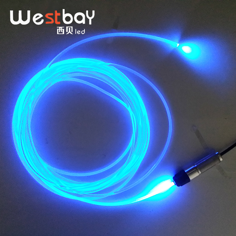 Westbay 3W Fiber Optic Light Engine Kit 3.0mm * 2m... – Vicedeal