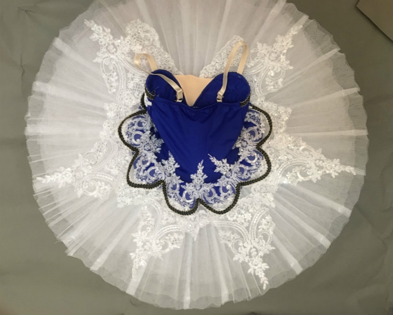 Ballet Tutu Swan Lake Pancake Tutu Girls Child Cos... – Grandado
