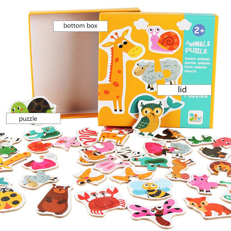 Infant Early Training Puzzle Cognitive Card Fruit ... – Grandado