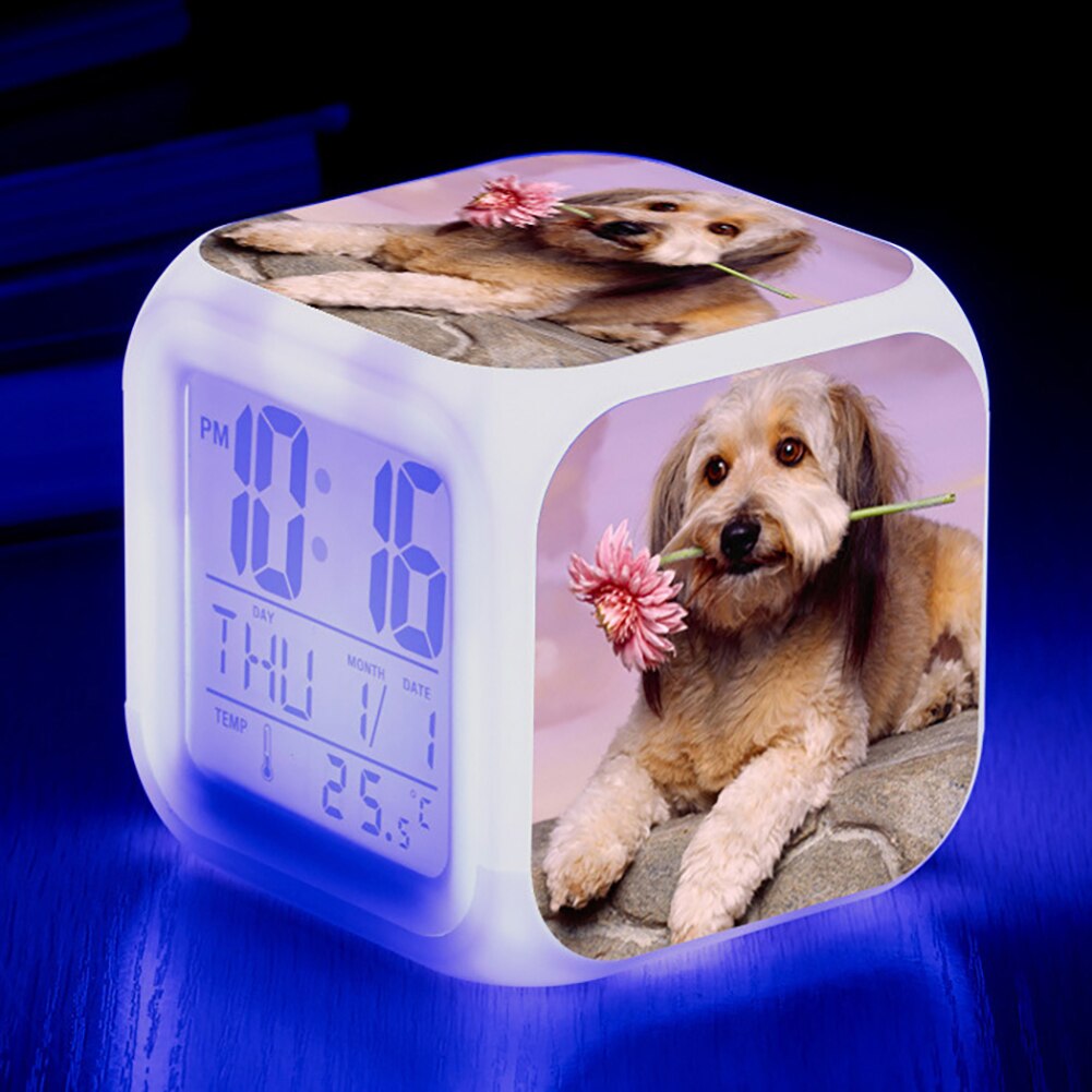 Animal World Pet Dog Colorful Color Changing Alarm... – Grandado