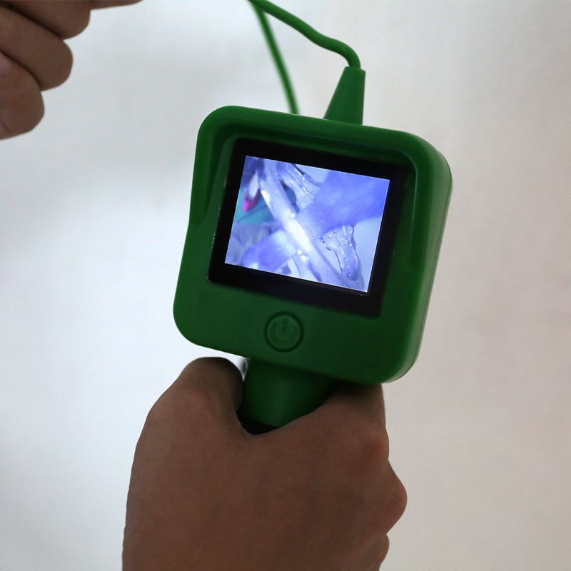 Handheld Wireless Home Endoscope Hd Duct Endoscope... – Grandado