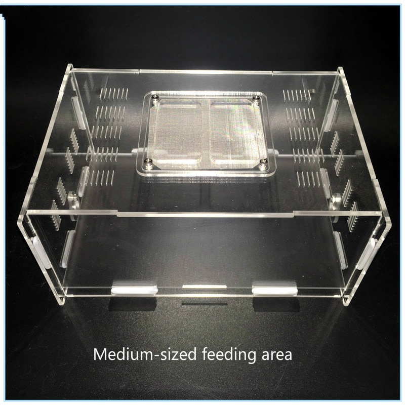 Acrylic feeding area small pet feeding box all kin... – Grandado
