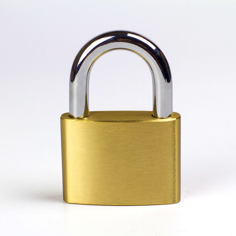 Stainless Steel Padlock Wolf Head Brass Lock Small... – Grandado