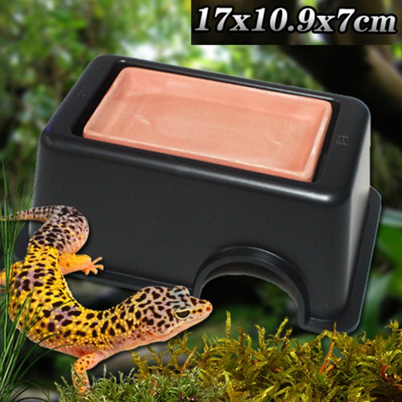 Reptile Nest Pet Supplies Water Feeding Reptile Hi... – Grandado