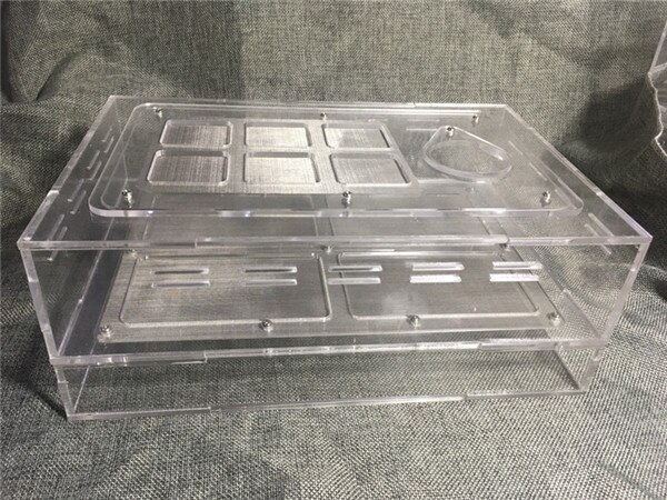 4 Size Ant Nest Transparent Ant Workshop For Child... – Grandado