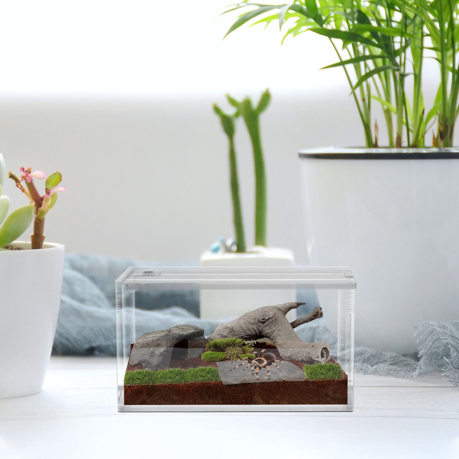 POPETPOP Acrylic Reptile Feeding Box Reptile Breed... – Vicedeal