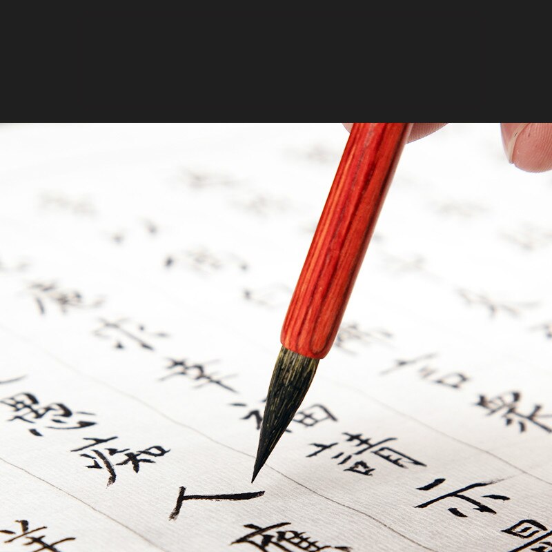 Chinese Calligraphy Pen Adult Beginner Brush Pen 4... – Grandado