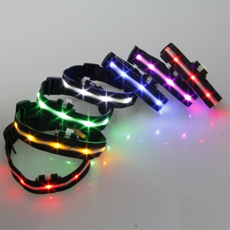 Dogs Collars Pet Dog Glowing Collar USB Rechargeab... – Grandado