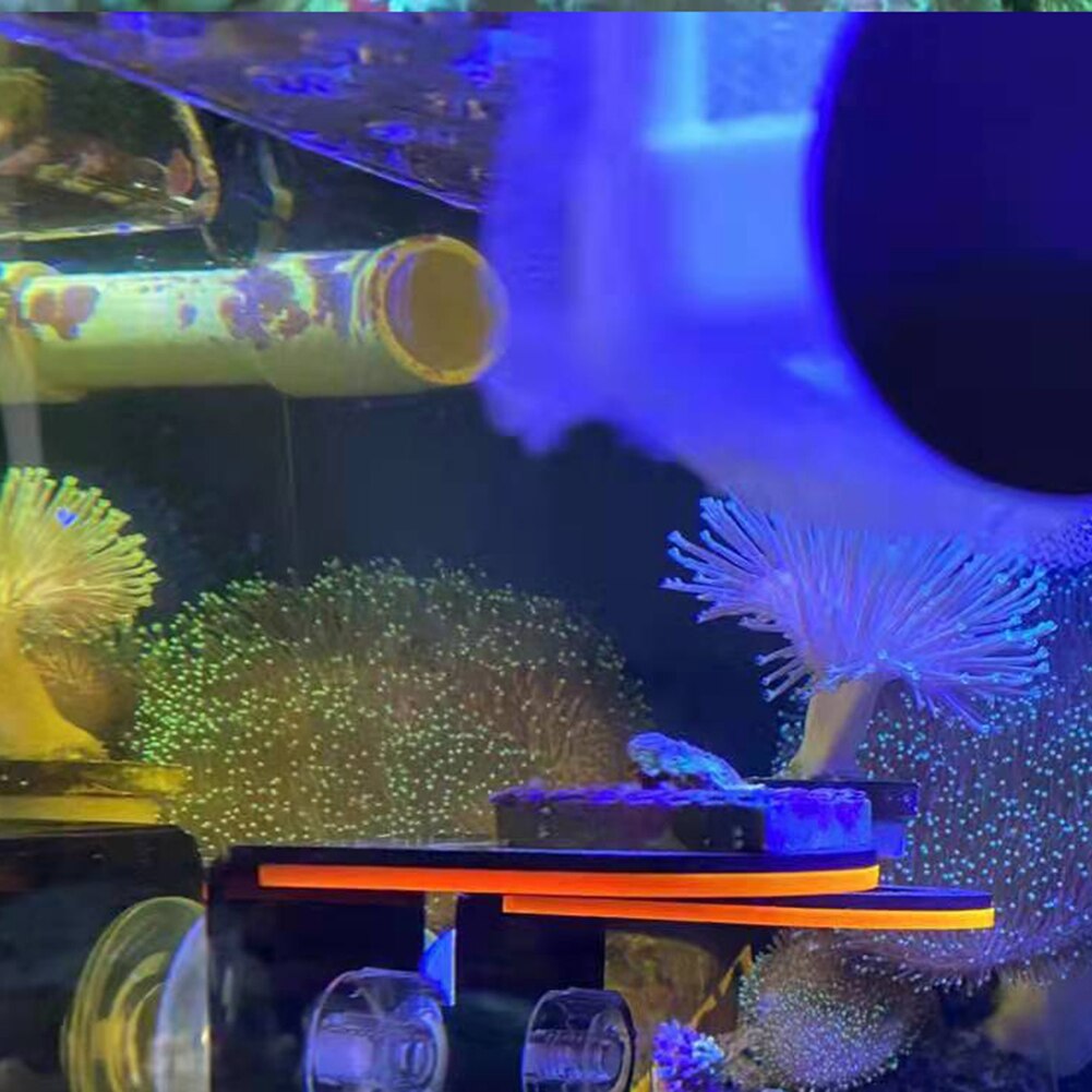 Fish Tank Fluorescent Coral Frag Rack Acrylic Aqua... – Vicedeal