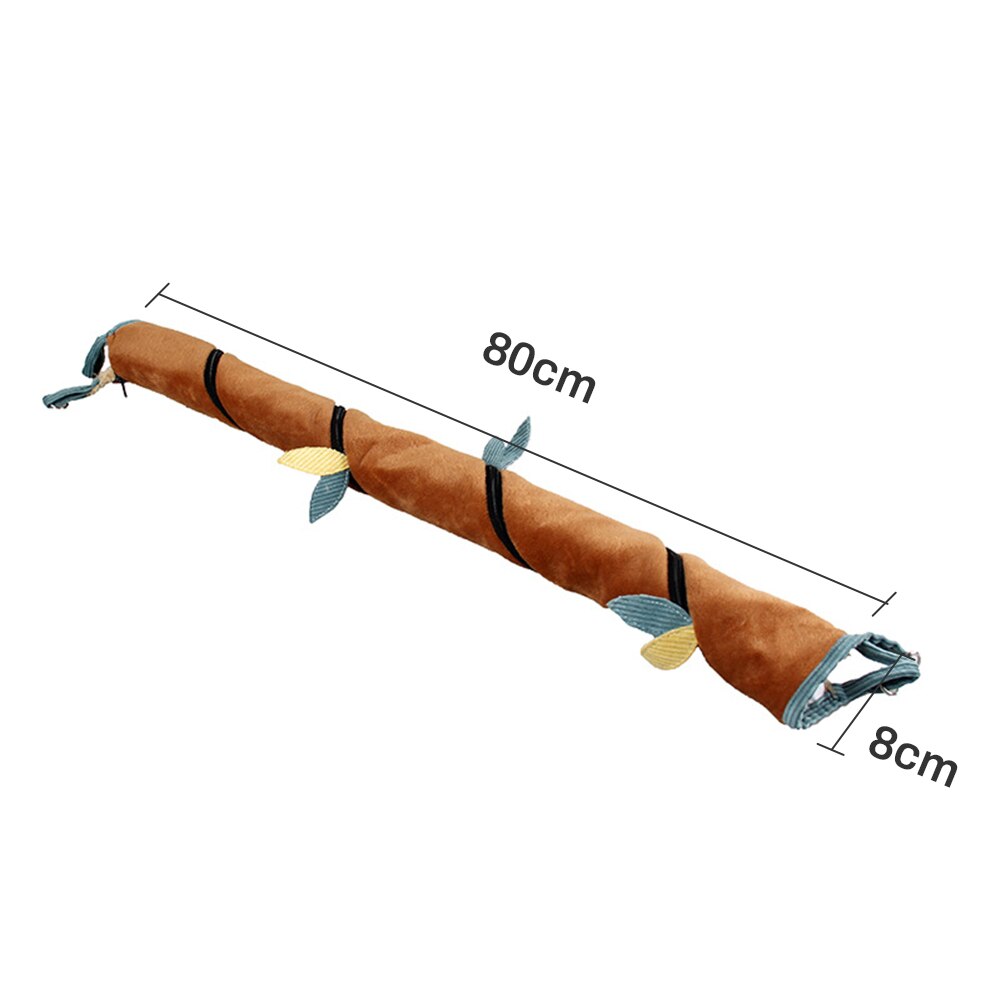 Varmt lille kæledyr langt tunnelrør rotte ilder le... – Grandado