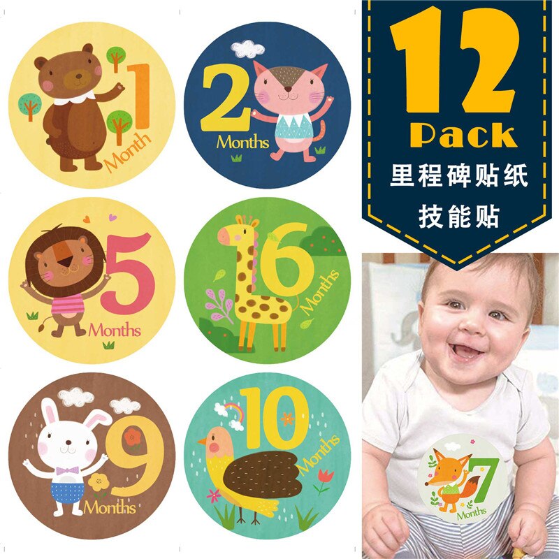 12 Pcs/Set Sheet Milestone Photo Sharing Cards 1-1... – Grandado