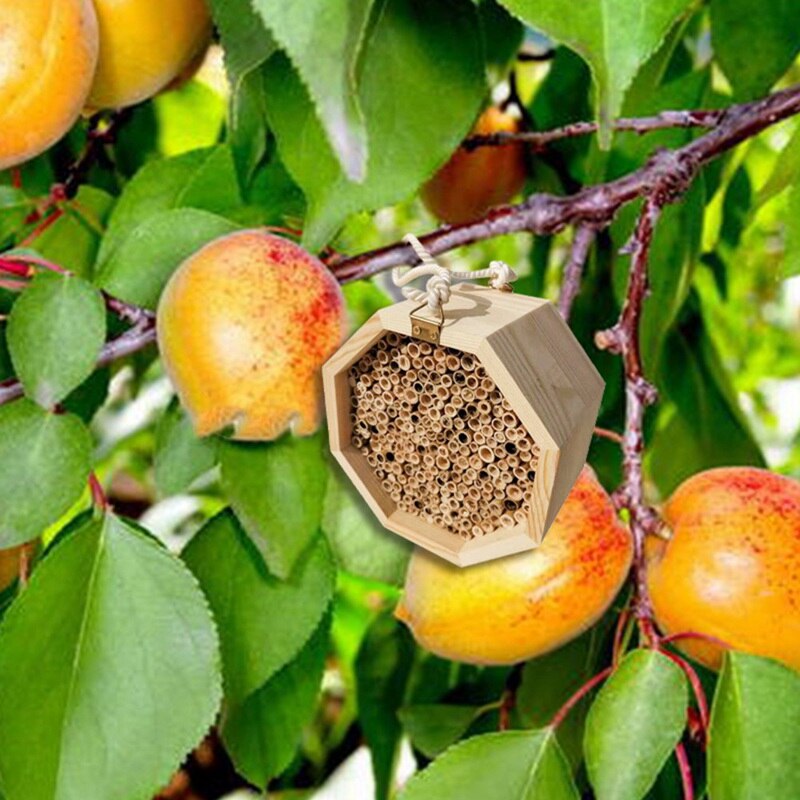 1pcs Wooden Insect Bee House Bug Room Hotel Shelte... – Grandado