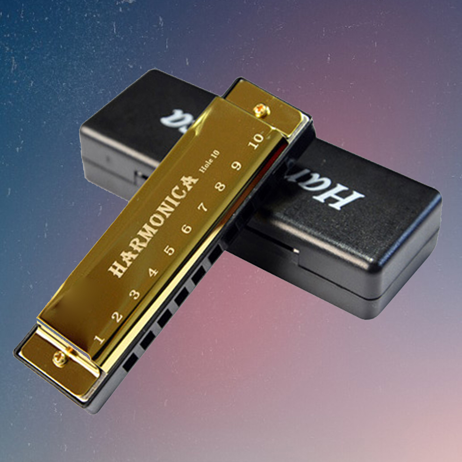 for Kids Beginner Diatonic Mouth Organ Musical Ins... – Vicedeal