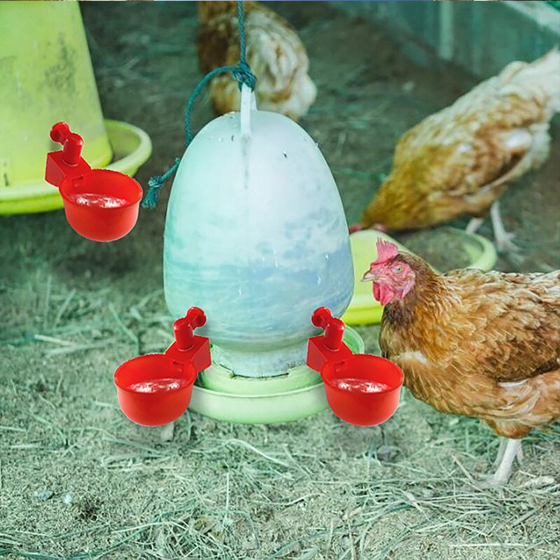 Automatische Kip Vogel Duif Papegaai Drinkfontein ... – Grandado