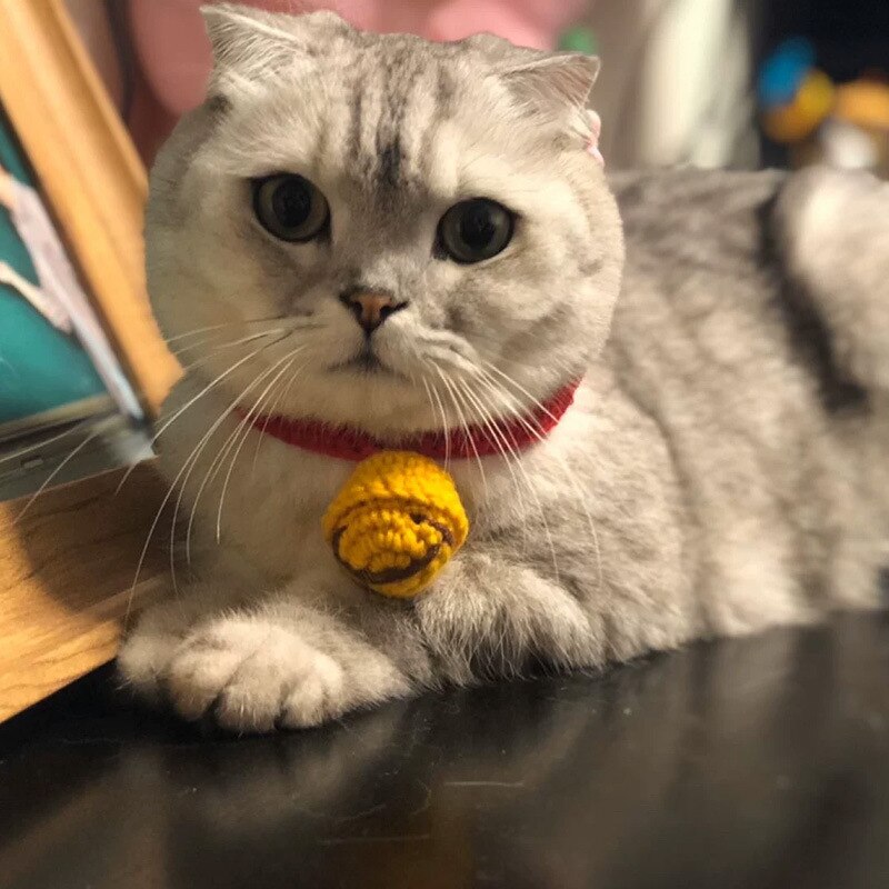 Cat Neck Sleeve Bells Siamese Cat Collar Cat Pet A... – Grandado