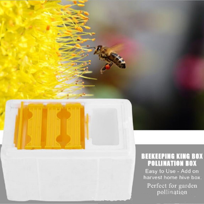 Foam Hive Box Bee Queen Mating Box Copulation Poll... – Grandado