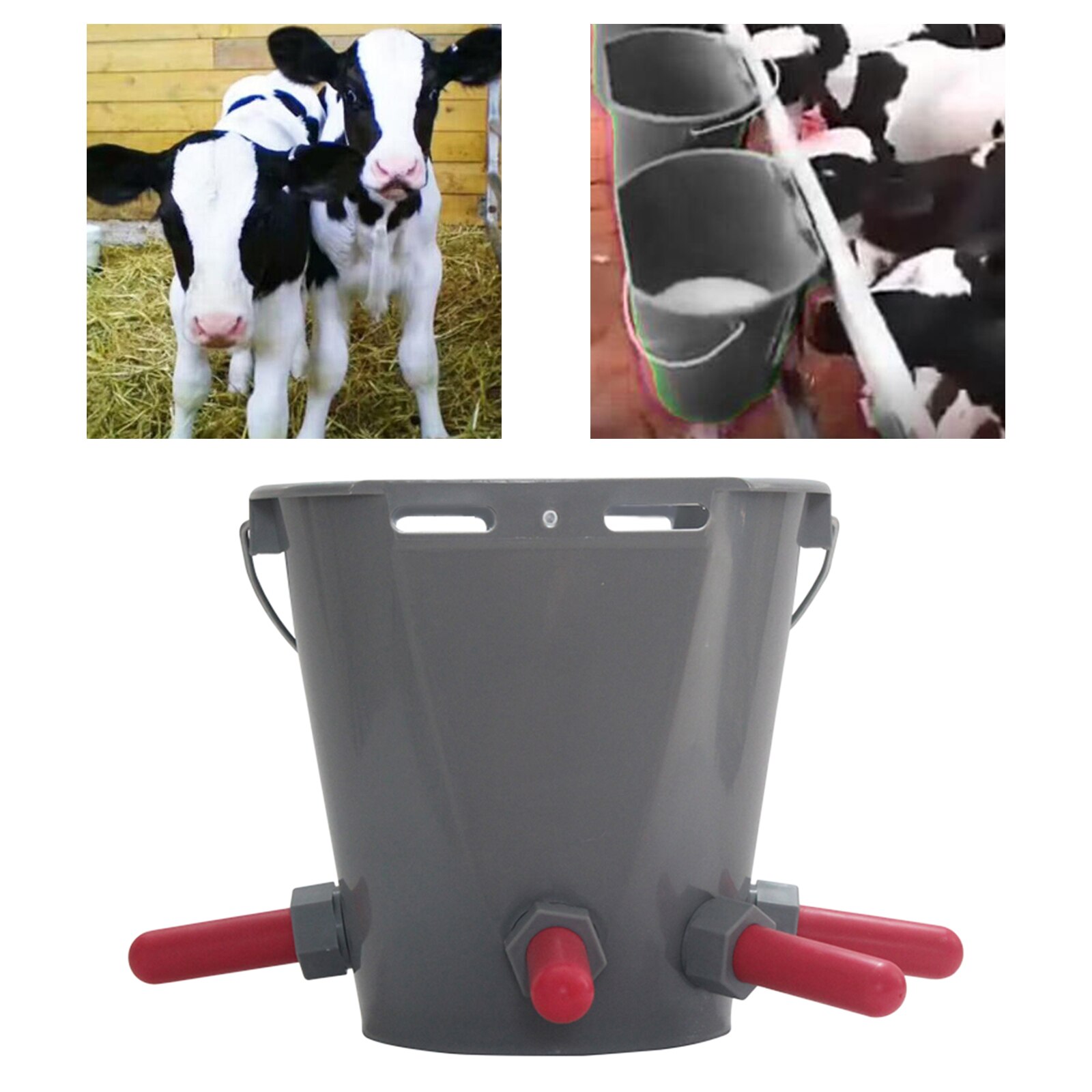 8L Lamb Milk Bottle Farm Animal Feeding Pail Caif ... – Vicedeal