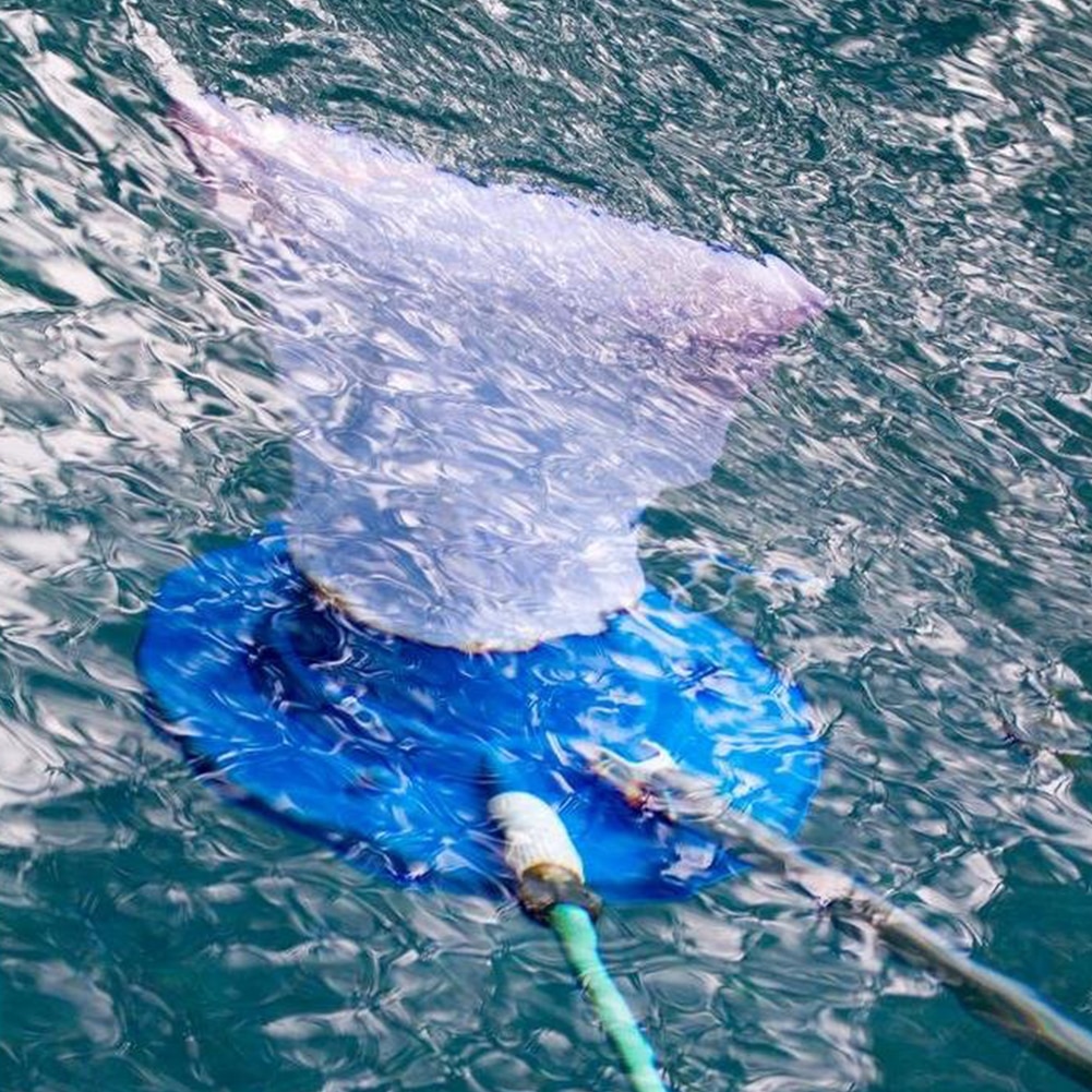 Pool Pond Vacuum Cleaner Suction Head with Mesh Ba... – Grandado