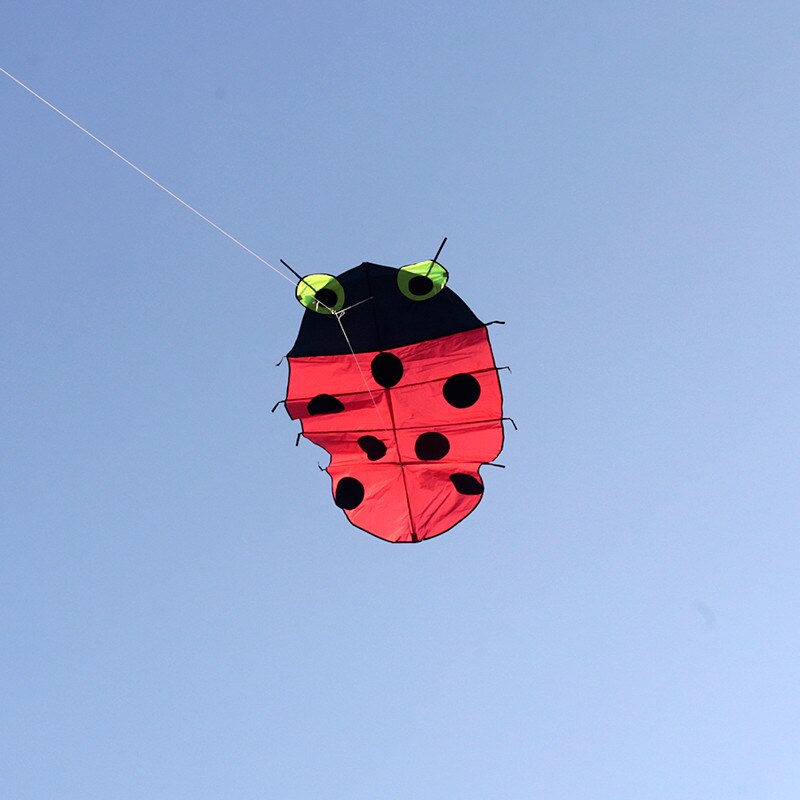Outdoor Fun Sports Power Dynamic Beetles Kites wit... – Grandado