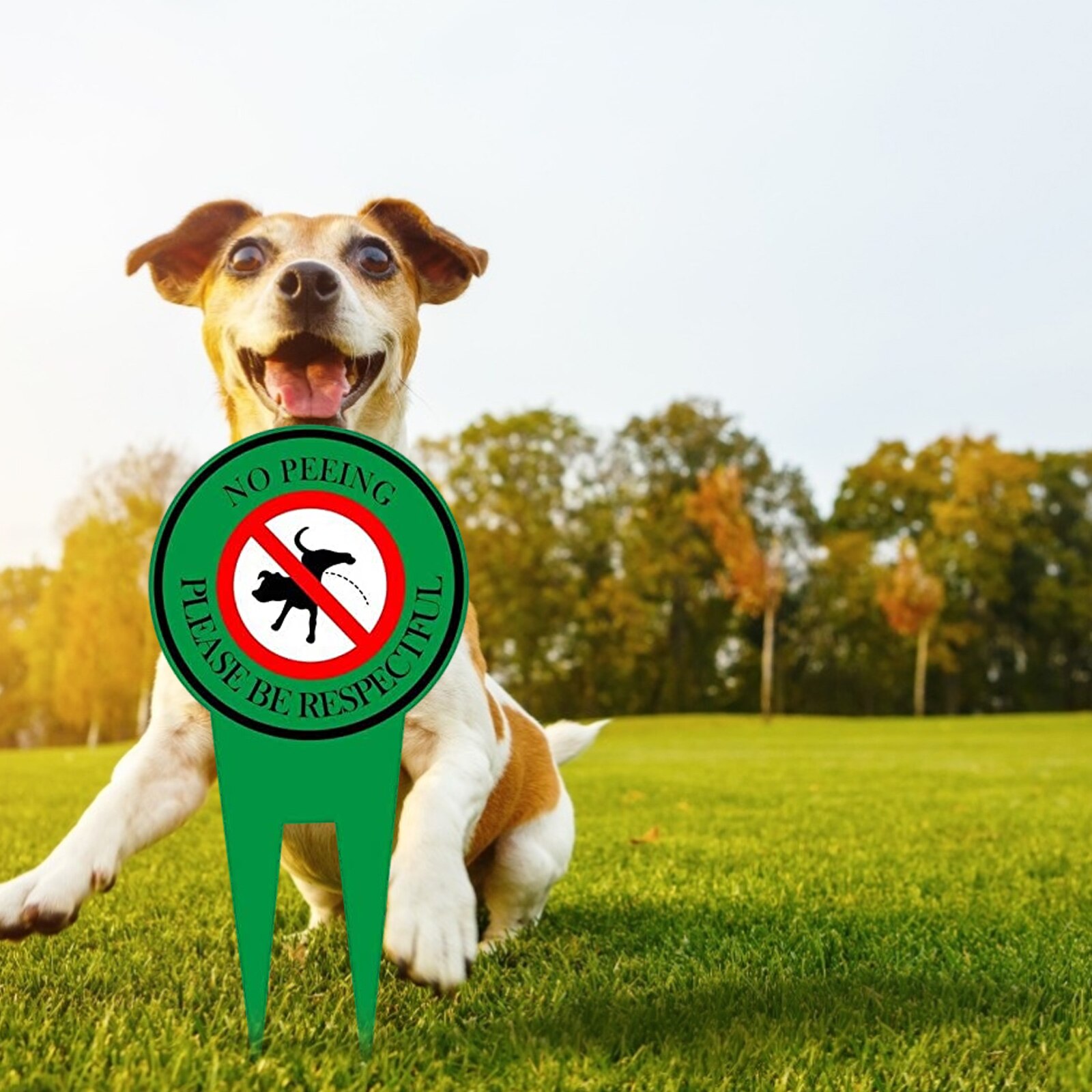 Double Sided No Pooping Dog Sign No Peeing Dog Sig... – Grandado