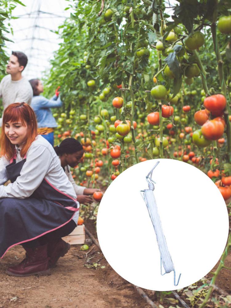 Tomato Tomato Hook Plant Growth Traction Rope Hook... – Grandado