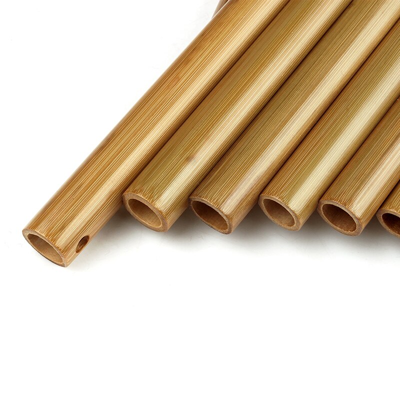 Pan Flute 10 Pipes Natural Bamboo Wind Instrument ... – Vicedeal