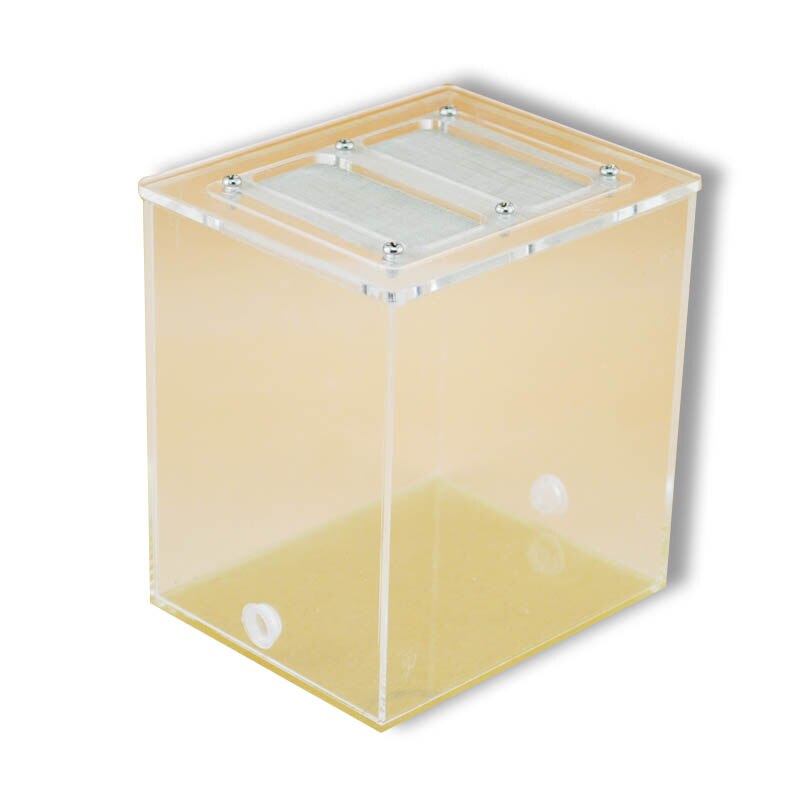 Acrylic net cover box Ant feeding box Reptile box ... – Vicedeal