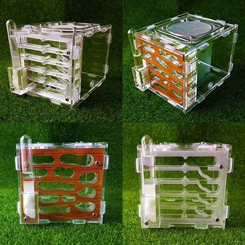 Mini Ant Housing Nest Insect Cage Farms Feed Acryl... – Grandado