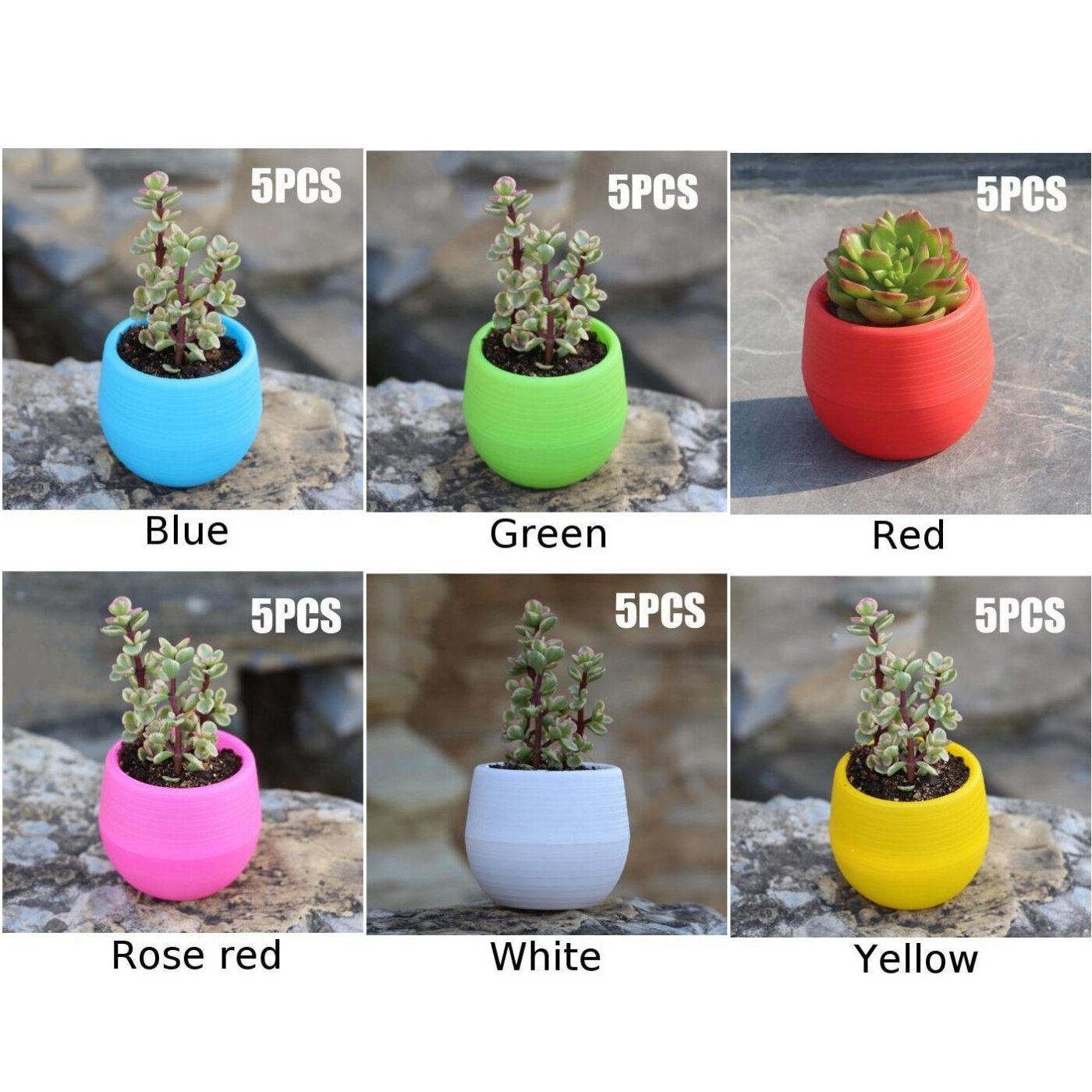 5Pcs Mini Ronde Succulent Pot Kleine Bloem Plant P... – Vicedeal