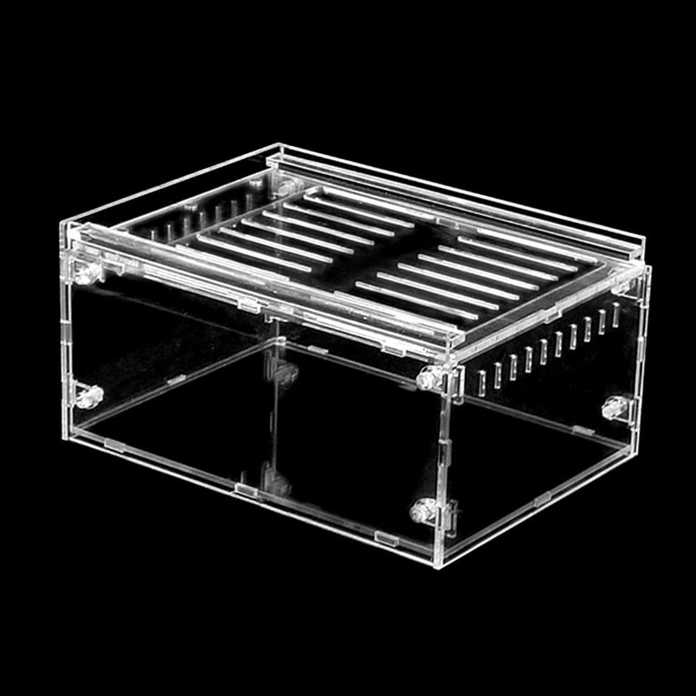 Reptile Breeding Box Acrylic Feeding Box For Spide... – Vicedeal