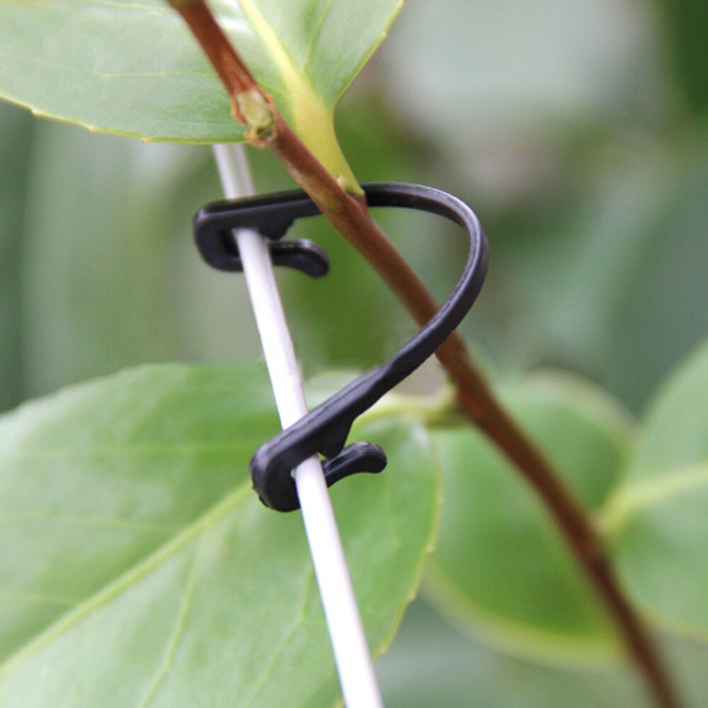 100pcs Garden Plants Bundled Buckle Accessories Fi... – Grandado