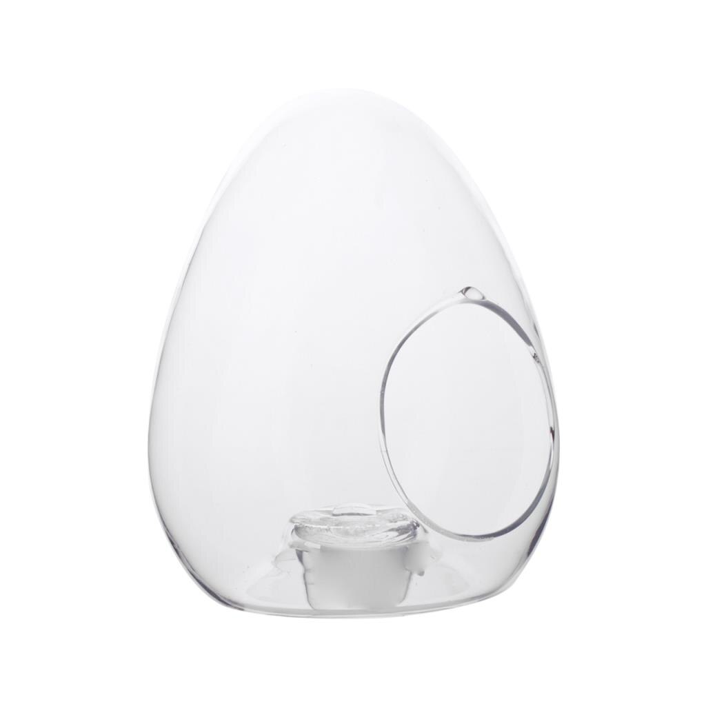 Egg Glass Dome Terrarium-23 cm – Vicedeal