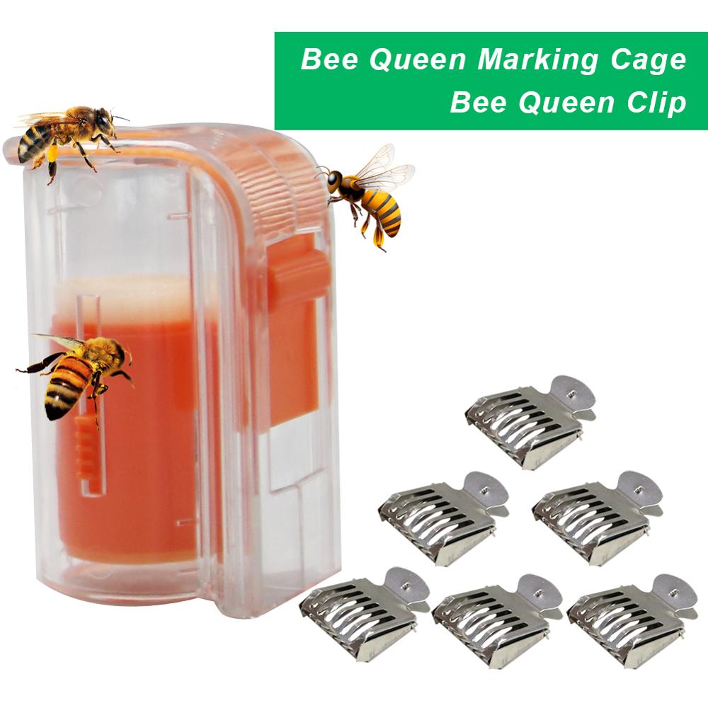 Bee Queen Marking Catcher Beekeeping Cage and 6 PC... – Grandado
