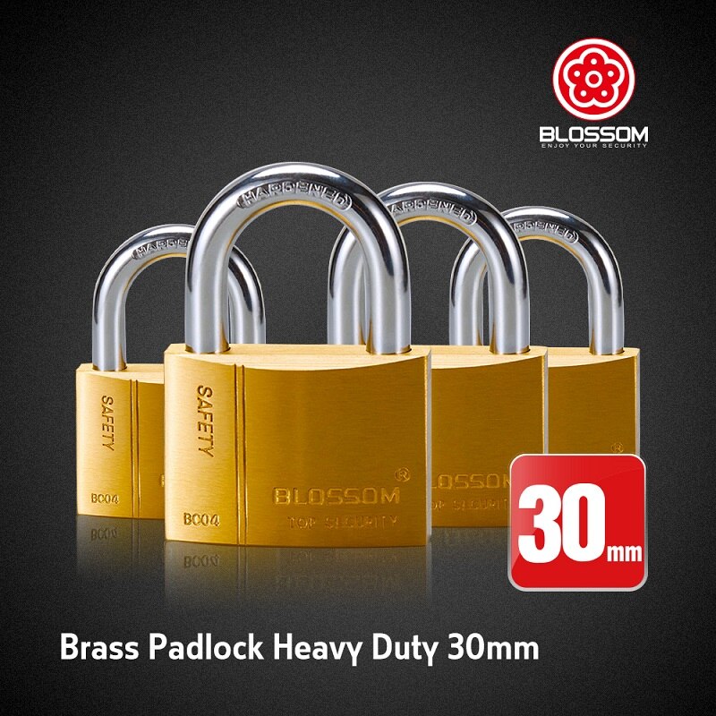 BLOSSOM 40cm Brass Padlock with Keys Heavy Duty Se... – Vicedeal