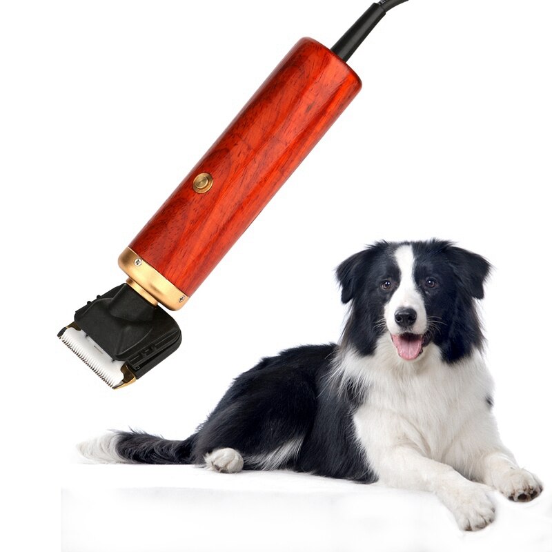 High Power Dog Hair Trimmer Grooming Kit Animals C... – Grandado