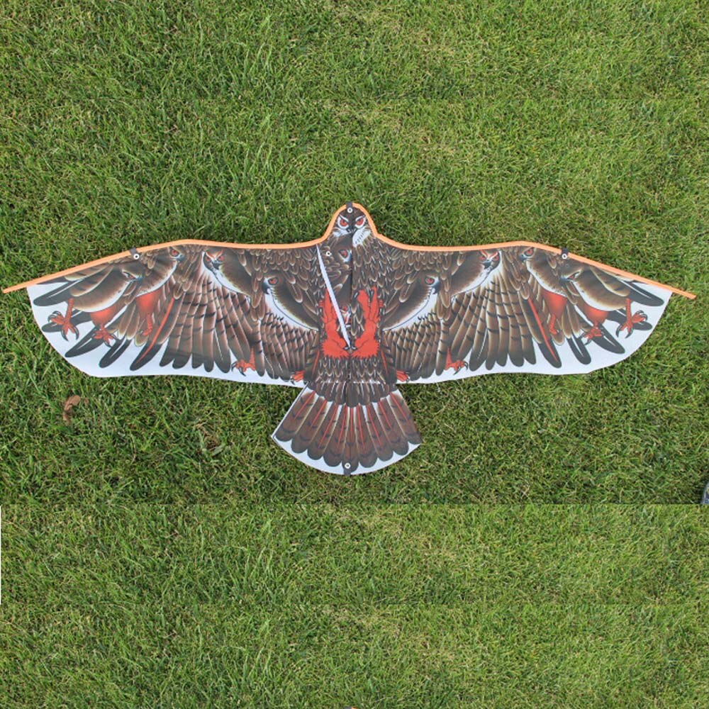 2 Size Flat Eagle Kite Flying Bird Kite With Kite ... – Vicedeal