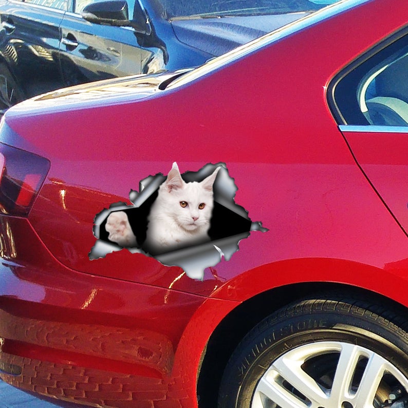 Wit Maine Coon Auto Decal, Witte Kat Decal, Wit Ma... – Grandado