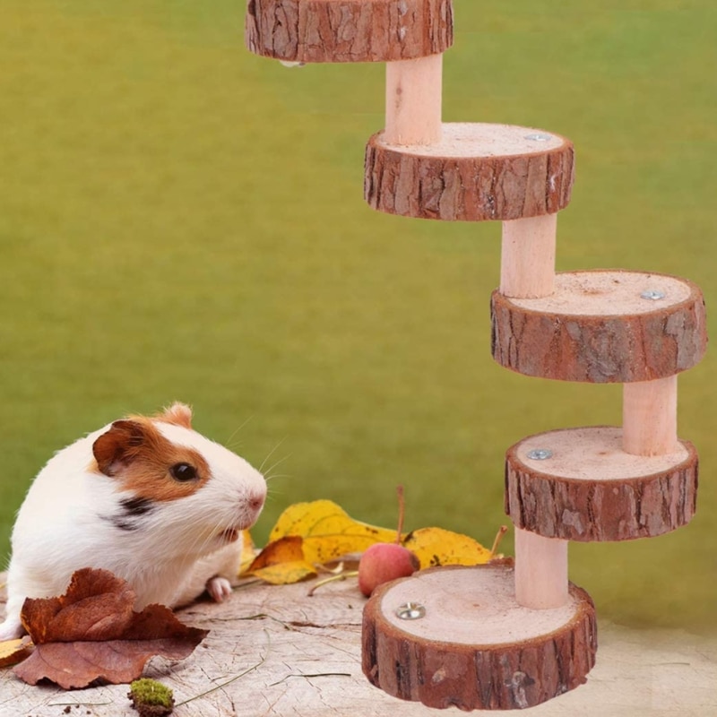 Houten Hamster Klimmen Ladder Trappen Papegaai Vog... – Grandado