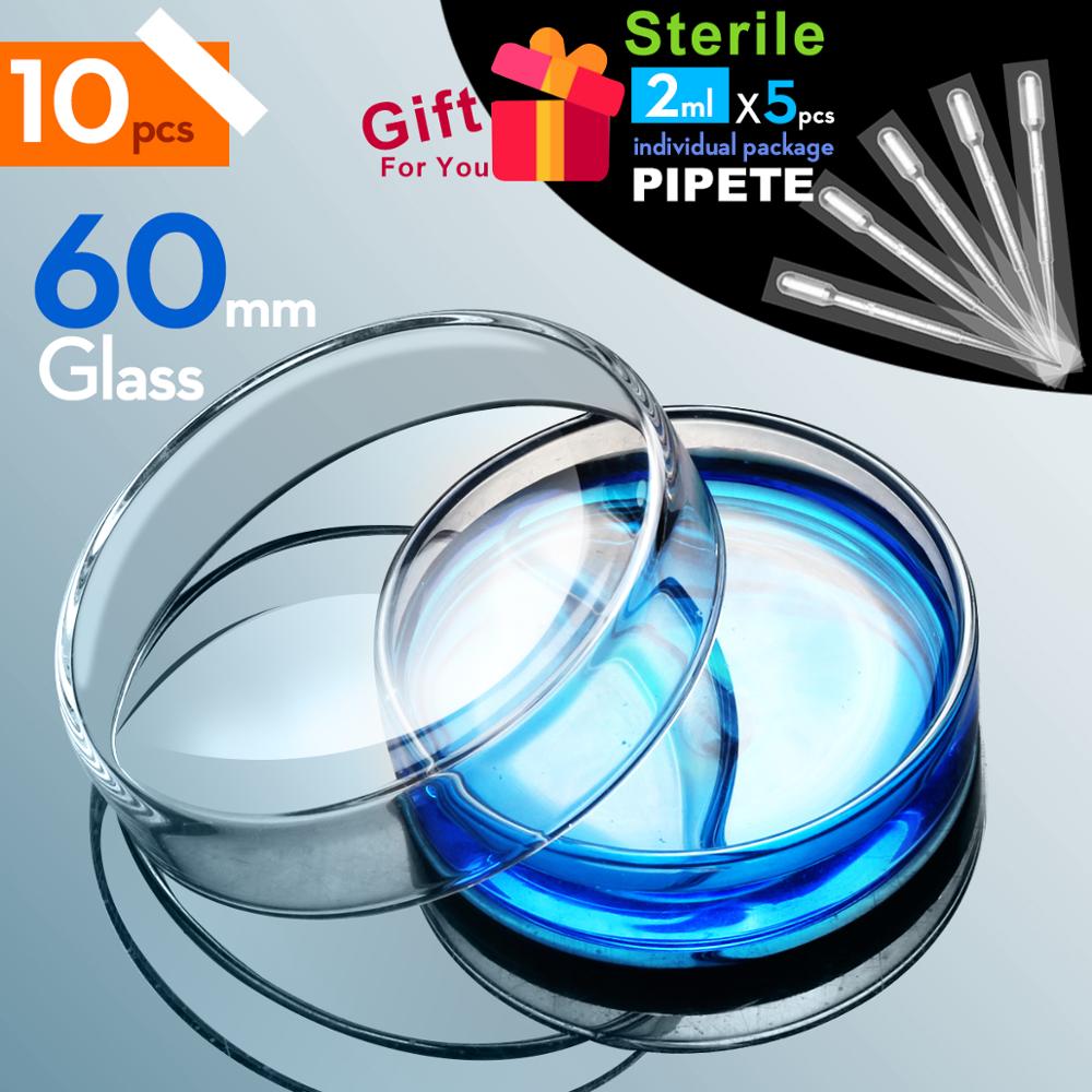 10 pcs 60mm Glass Petri Dish Bacterial Culture Dis... – Vicedeal