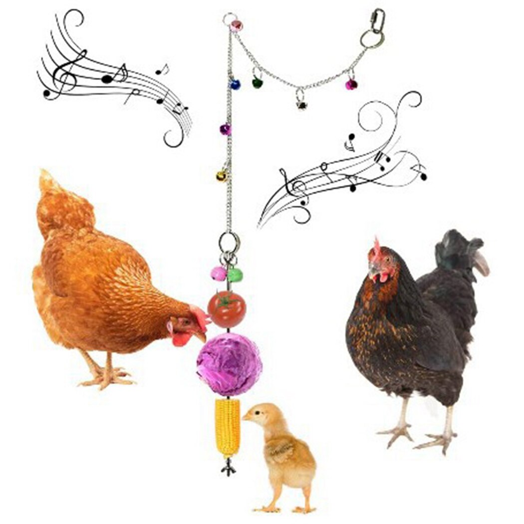 1Pcs Rvs Kip Groenten Spies Fruit Houder Voor Kipp... – Vicedeal