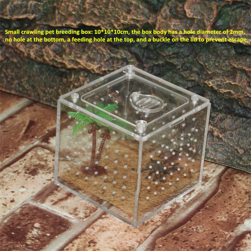 Reptile breeding box reptile terrarium cage gekko ... – Grandado