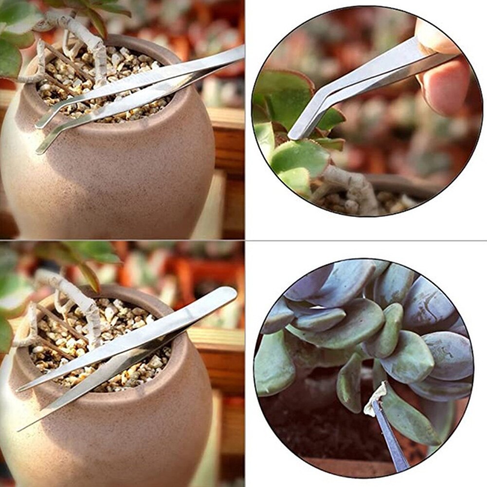 16pcs/set Scissors Bonsai Mini Succulent Planting ... – Grandado