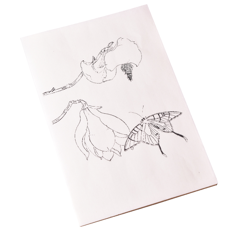 Line Drawing Butterfly Tracing Paper Xuan Paper Bu... – Grandado