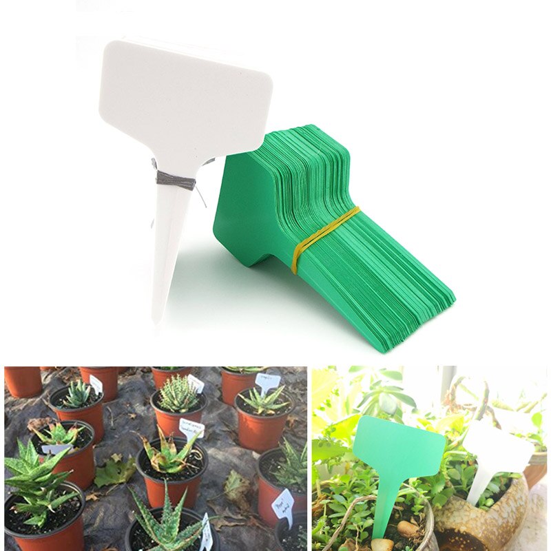 100 Stuks Plant Tag T Type Plant Markers Label Kwe... – Grandado