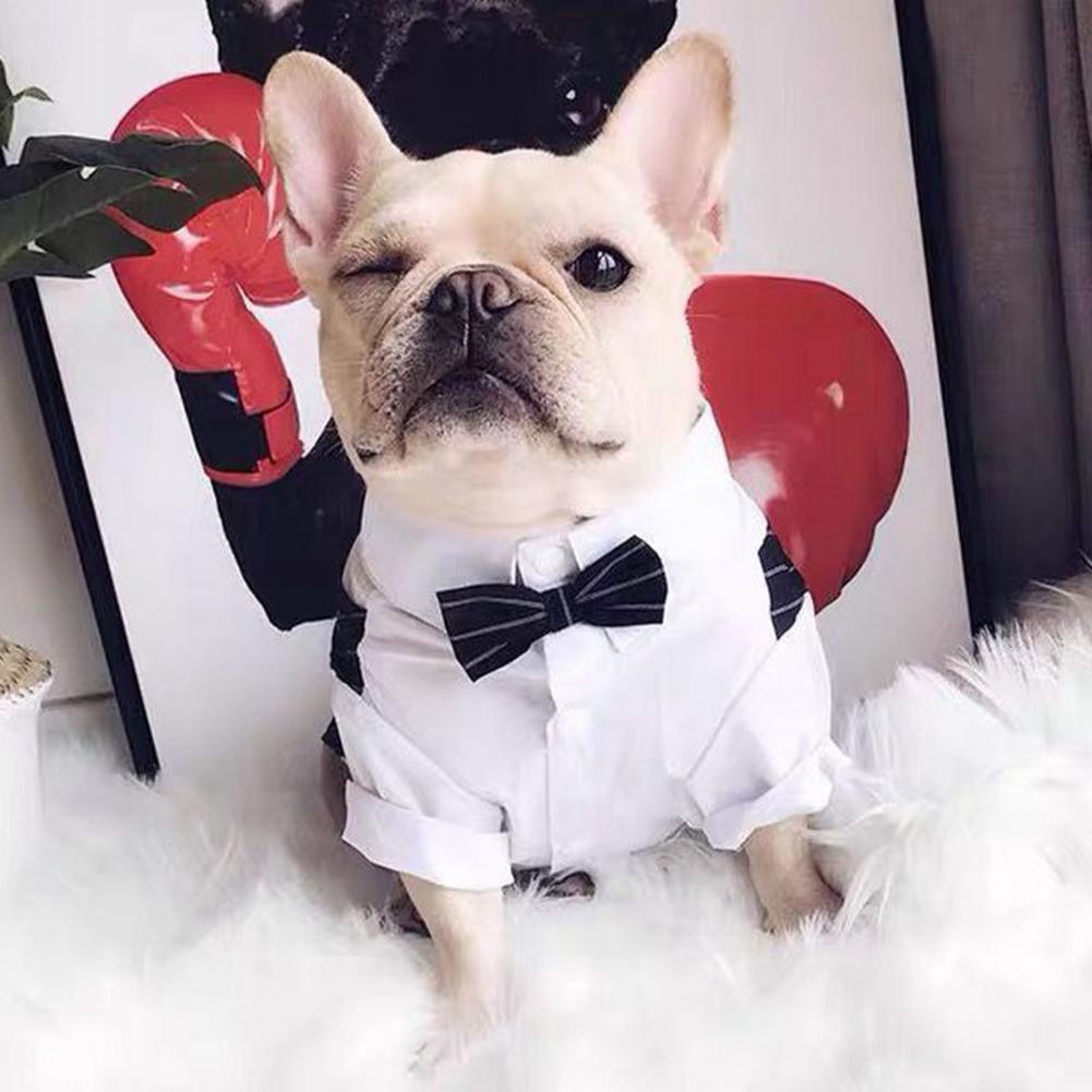 Stylish Dog Pet Shirt Wedding Suit Formal Formal S... – Vicedeal