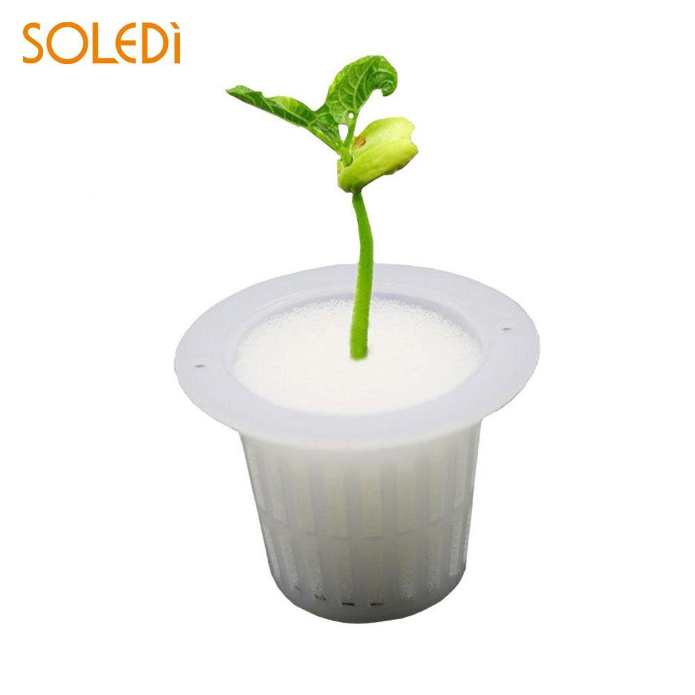 White Hydroponics Sponge Mini Insert Plant Cloning... – Vicedeal
