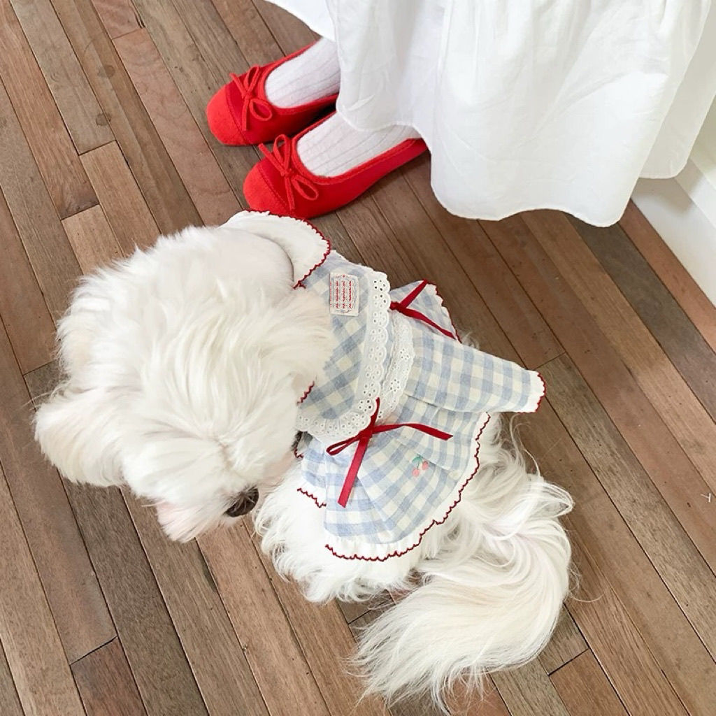 Leuke Zomer Boog Hond Prinses Jurk Puppy Vest Dunn... – Vicedeal