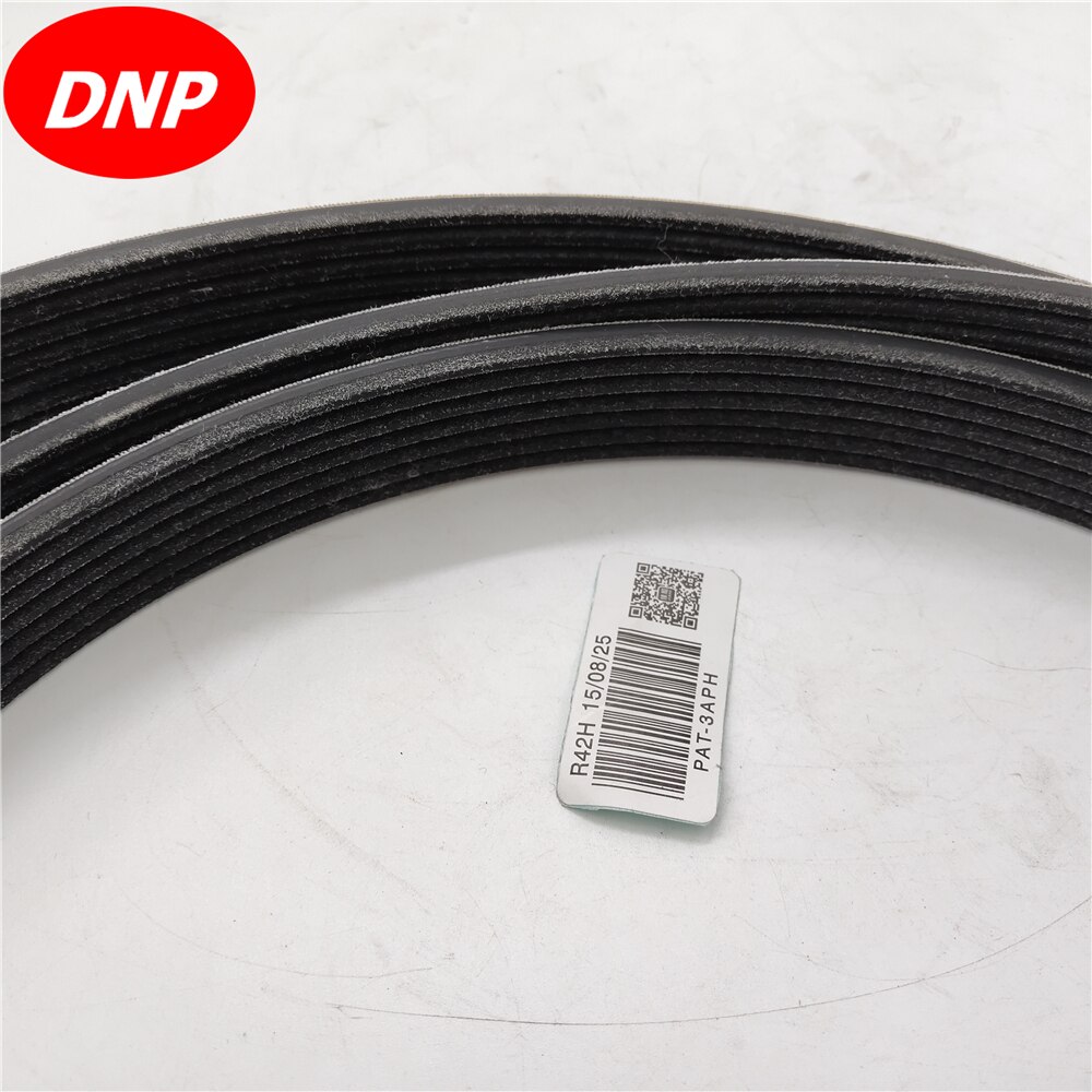 DNP Fan Belt fit for NISSANI Infiniti QX80 QX56 11... – Grandado